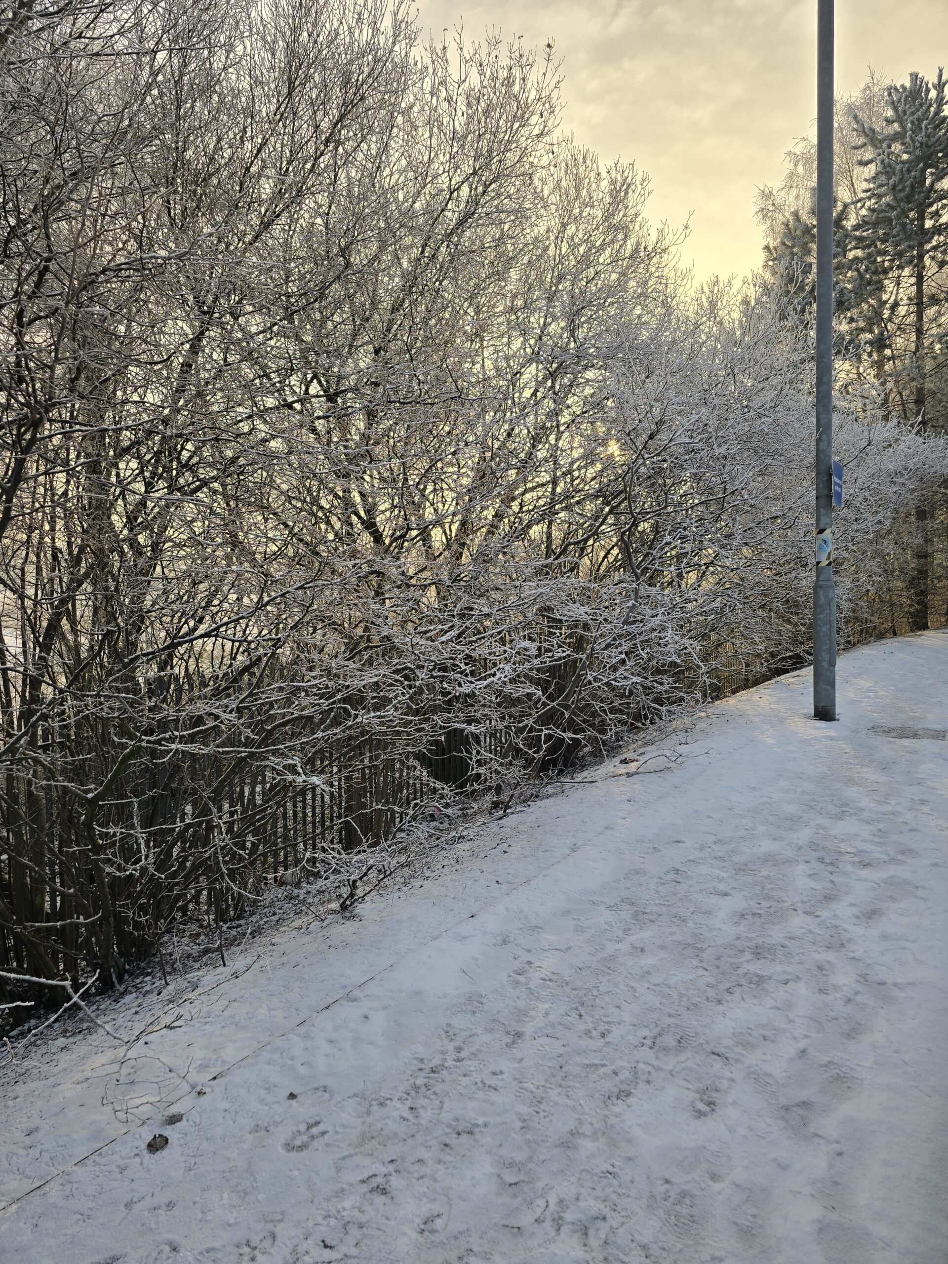 Successes – THE GOOD BUCK